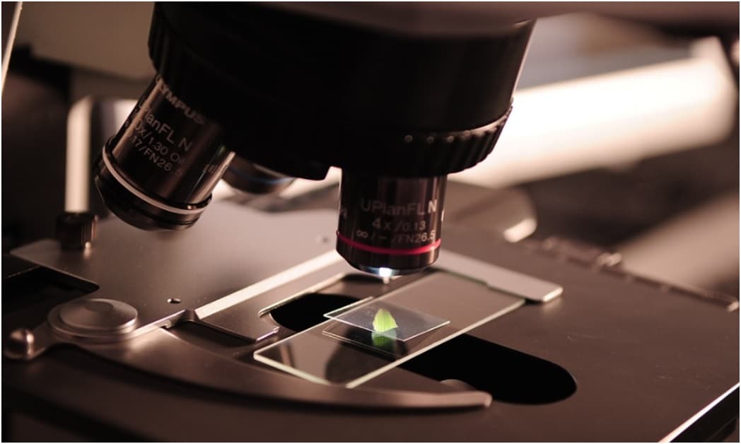 6 Reasons Why You Should Study Biotechnology